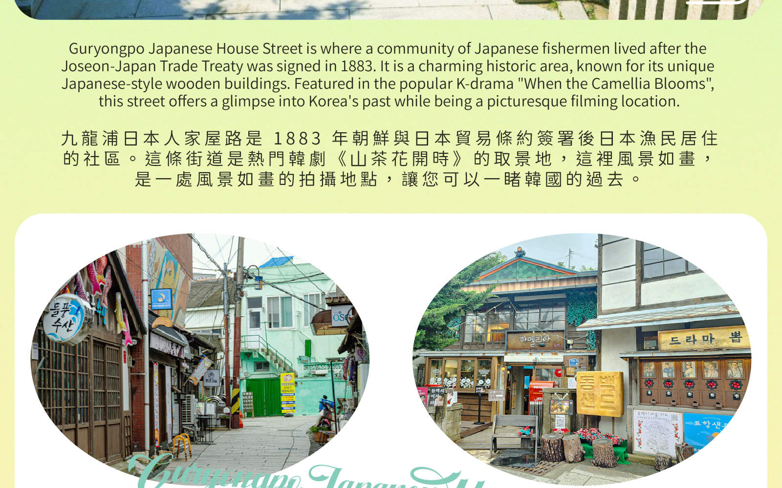 Pohang Space Walk x Cherry Blossom, Guryongpo, Homigot Canola Flower ...