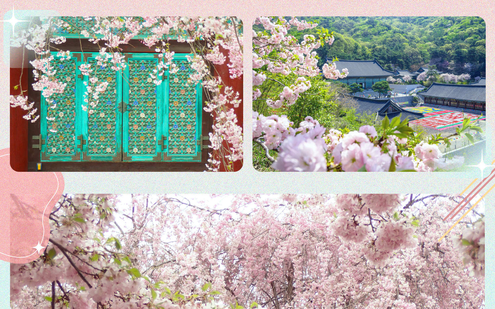 Tur Pasar Yesan Paik Jong Won x Kuil Gakwonsa untuk Melihat Bunga ...