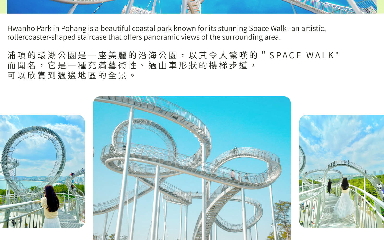 Pohang Space Walk x Cherry Blossom, Guryongpo, Homigot Canola Flower ...