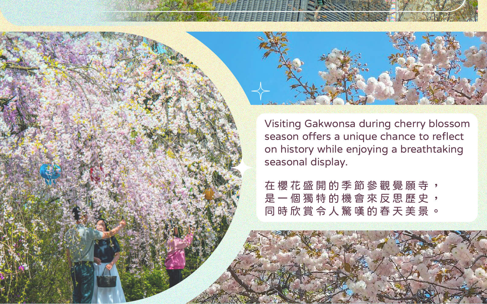 Tur Pasar Yesan Paik Jong Won x Kuil Gakwonsa untuk Melihat Bunga ...