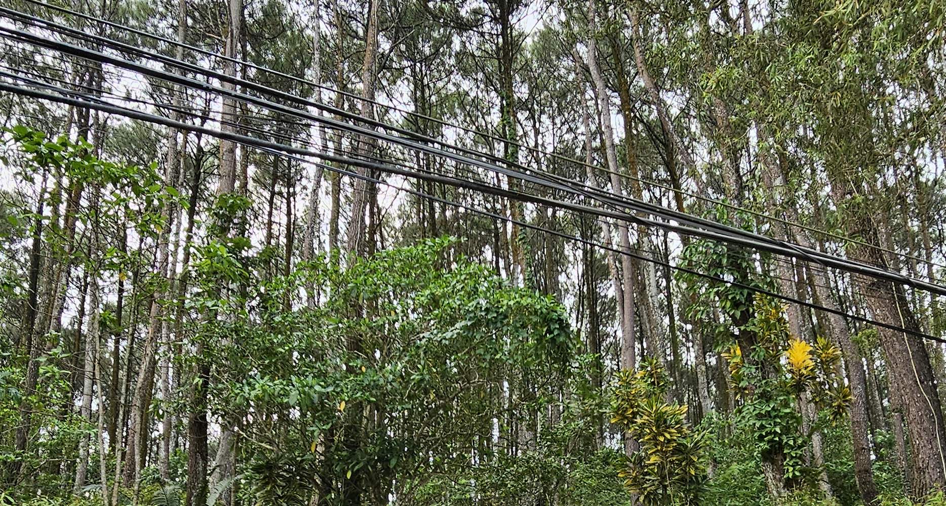 Merapi Jeep Sunrise, Gua Jomblang & Pindul, Hutan Pinus Pengger - Klook ...