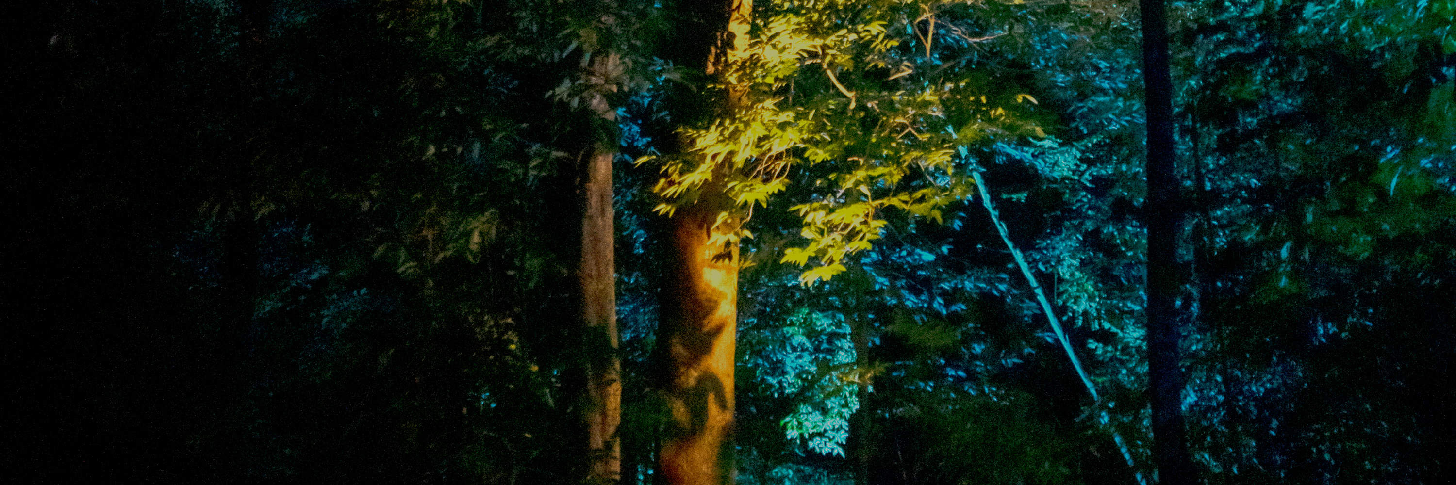 Dream Forest Langkawi Ticket - Klook Singapore