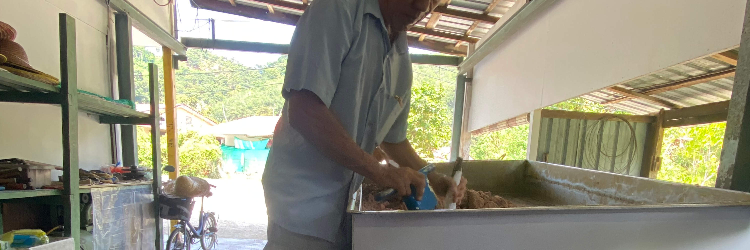 Eat, Drink and Play in Balik Pulau, Penang - Klook