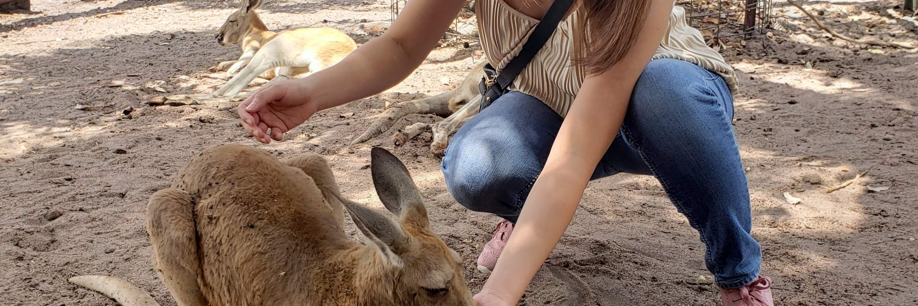 City Highlights and Wildlife Park Guided Day Tour from Perth - Klook