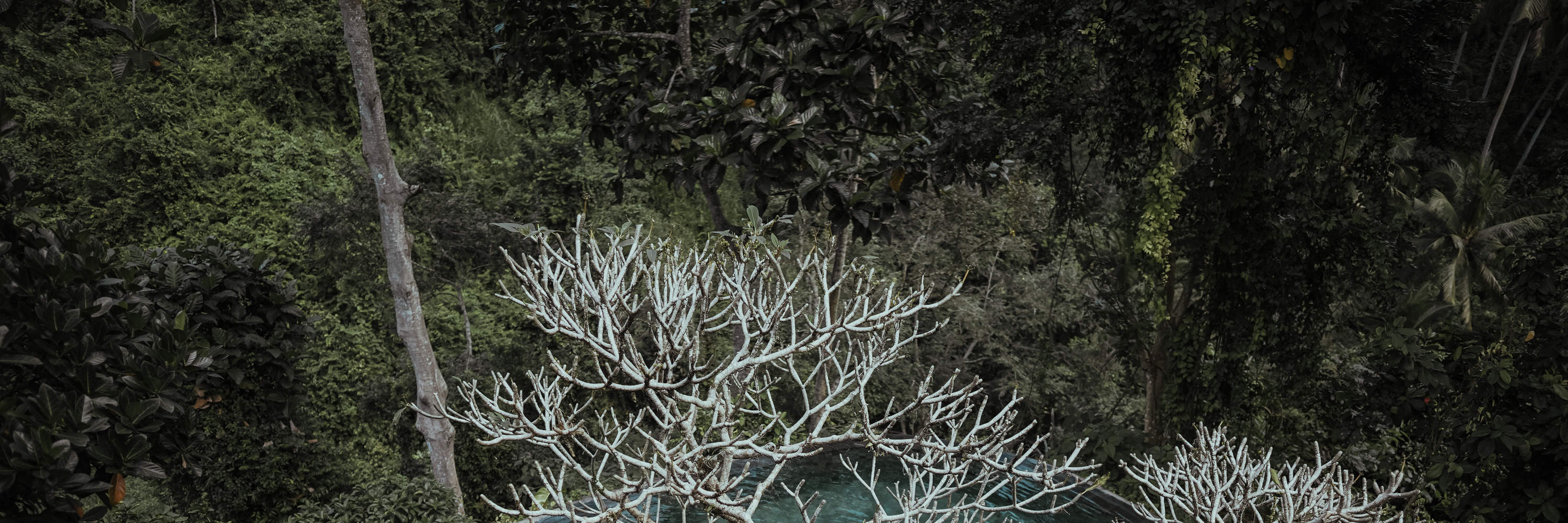 Natura Jungle Spa Experience in Ubud Bali - Klook
