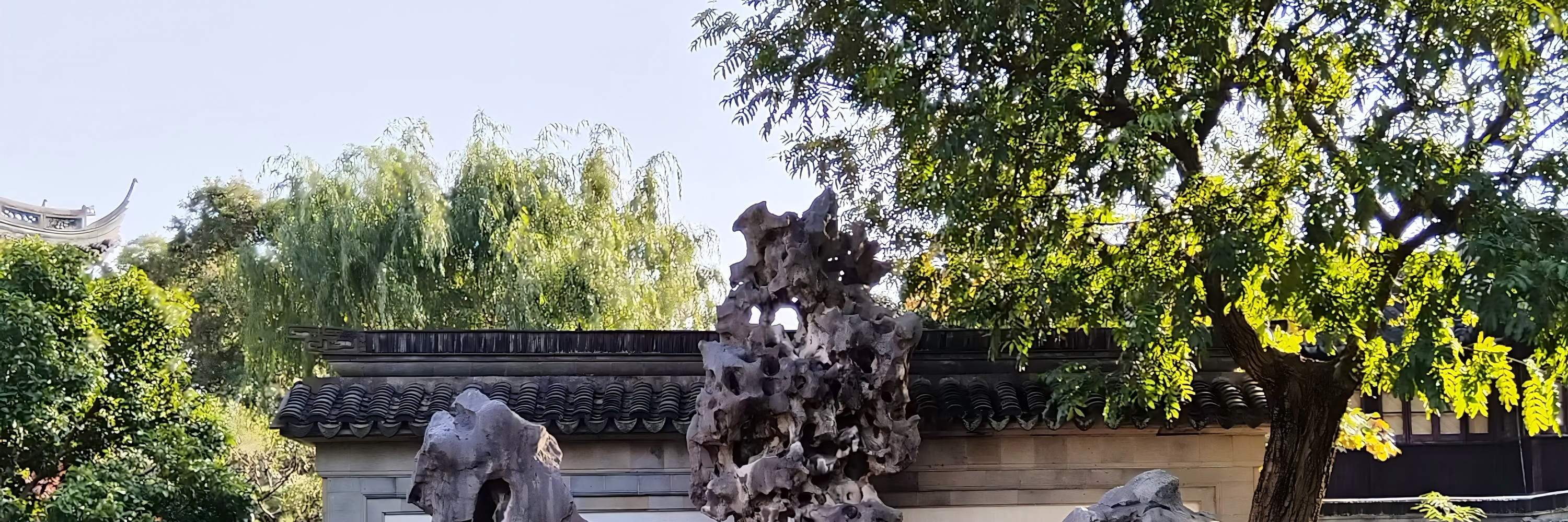 Shanghai Yu Garden Professional Guide + Chinese Tea Experience Tour ...