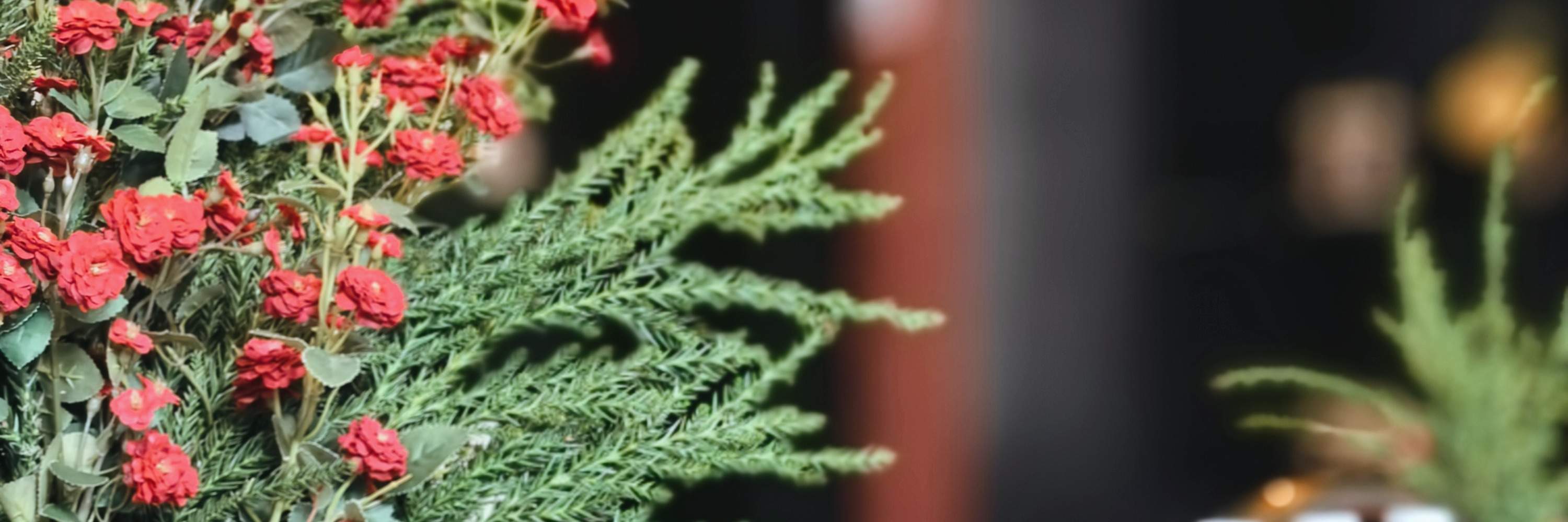 Oasis Spa Packages - Klook