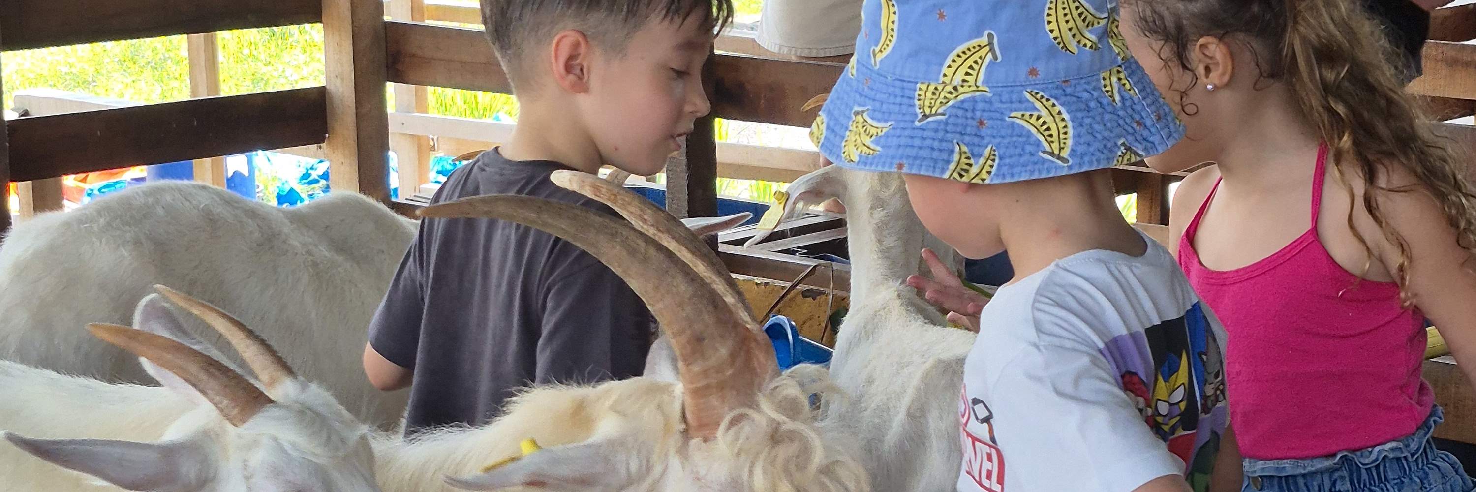 Gentle Farms Tours in Johor Bahru - Klook Singapore