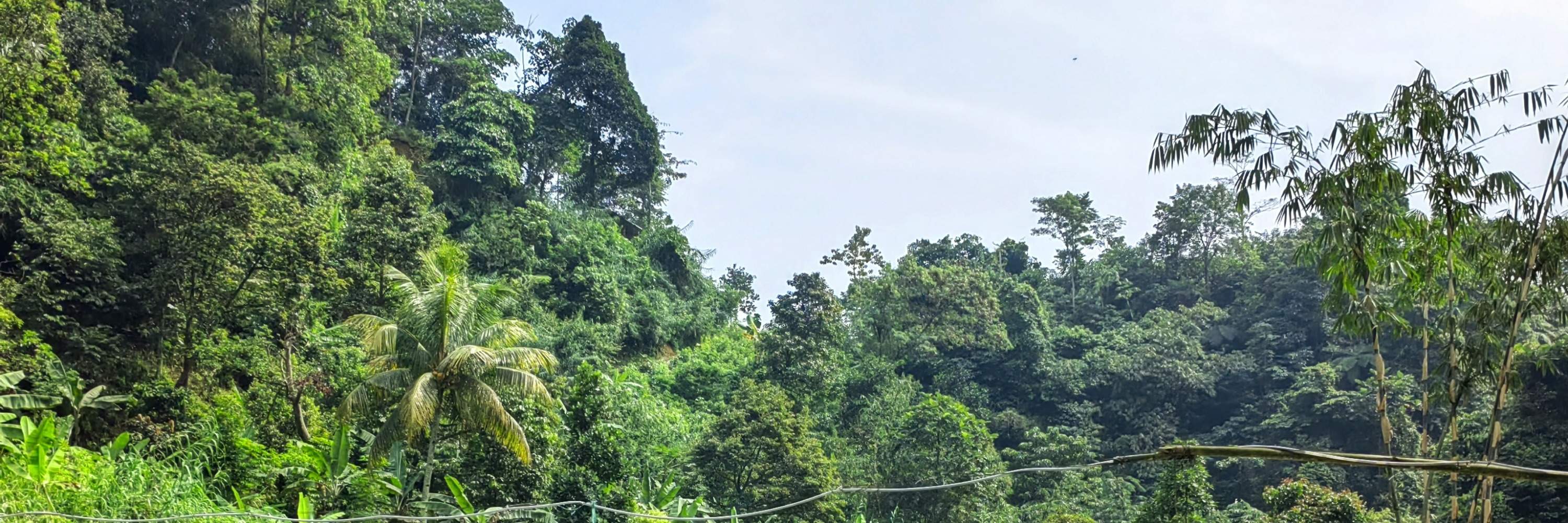 The Best Trekking Bogor Adventure to 5 Waterfalls (Start from Jakarta ...
