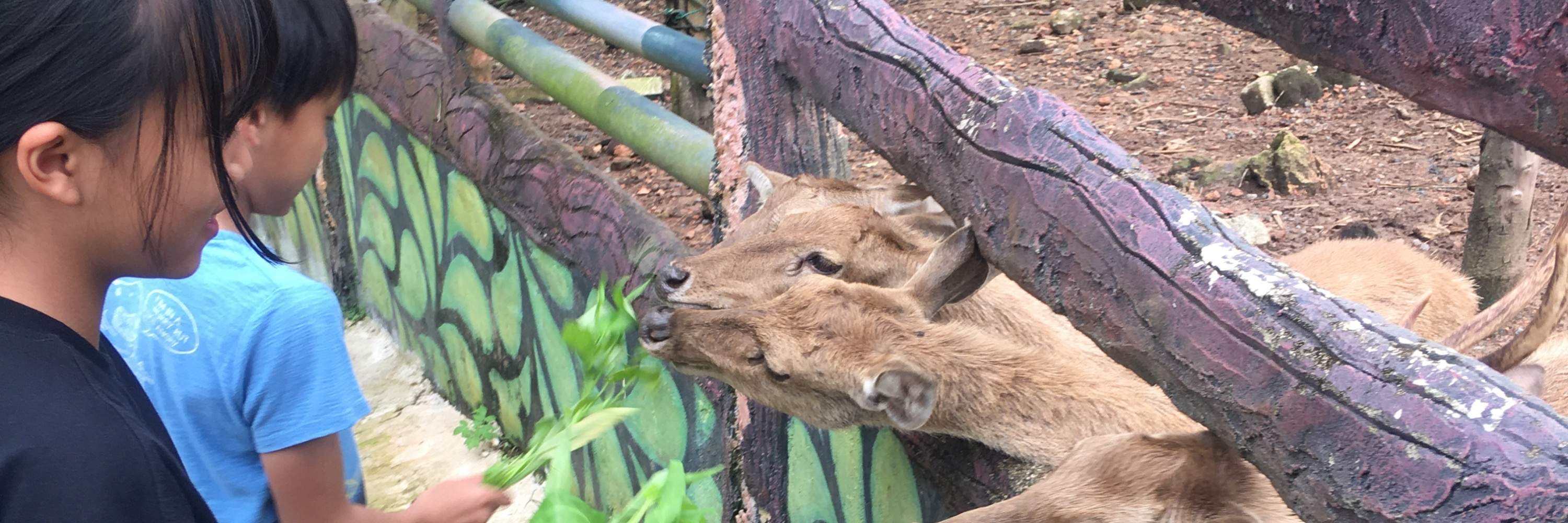 Safari Lagoi & Eco Farm - Bintan Island Tour from Bintan - Klook Singapore