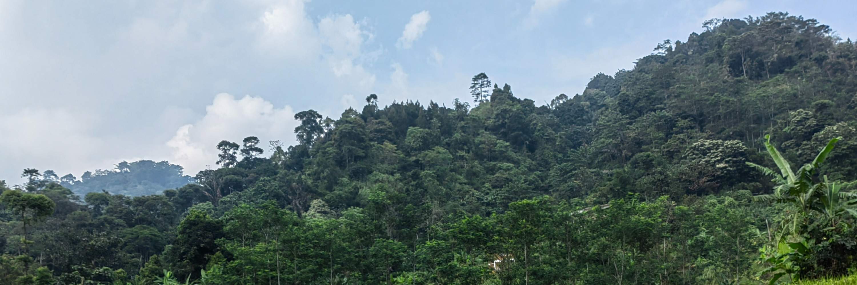 The Best Trekking Bogor Adventure to 5 Waterfalls (Start from Jakarta ...