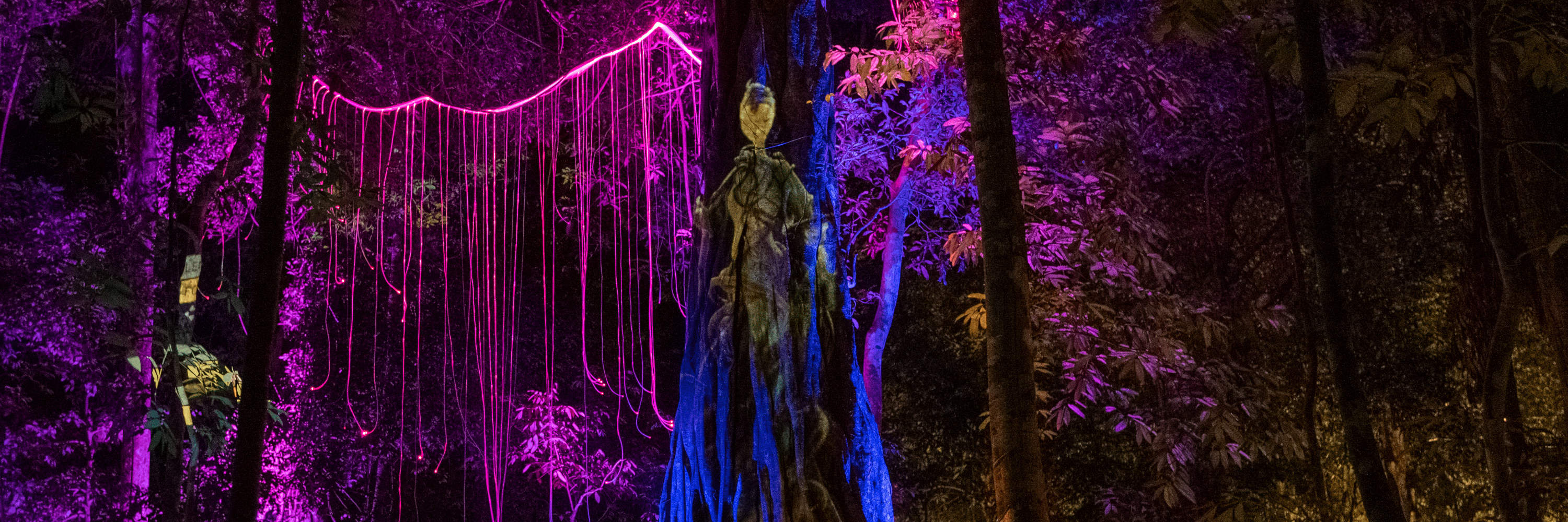 Dream Forest Langkawi Ticket - Klook Malaysia