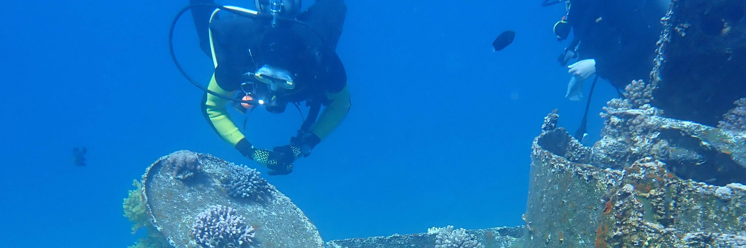 Red sea adventure - Klook United States