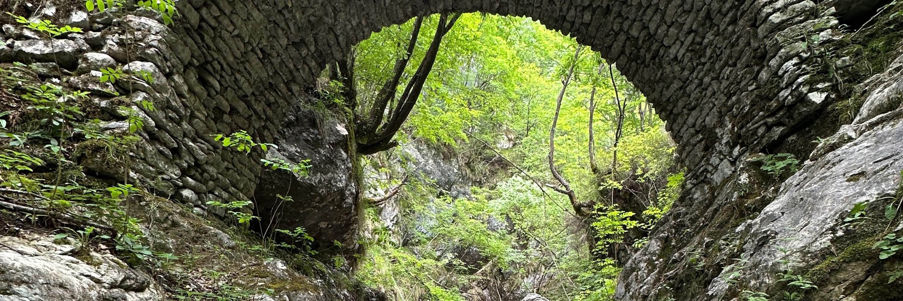 สัมผัสประสบการณ์การผจญภัยที่น่าตื่นเต้นในหุบเขา Susec Canyon - Klook ...