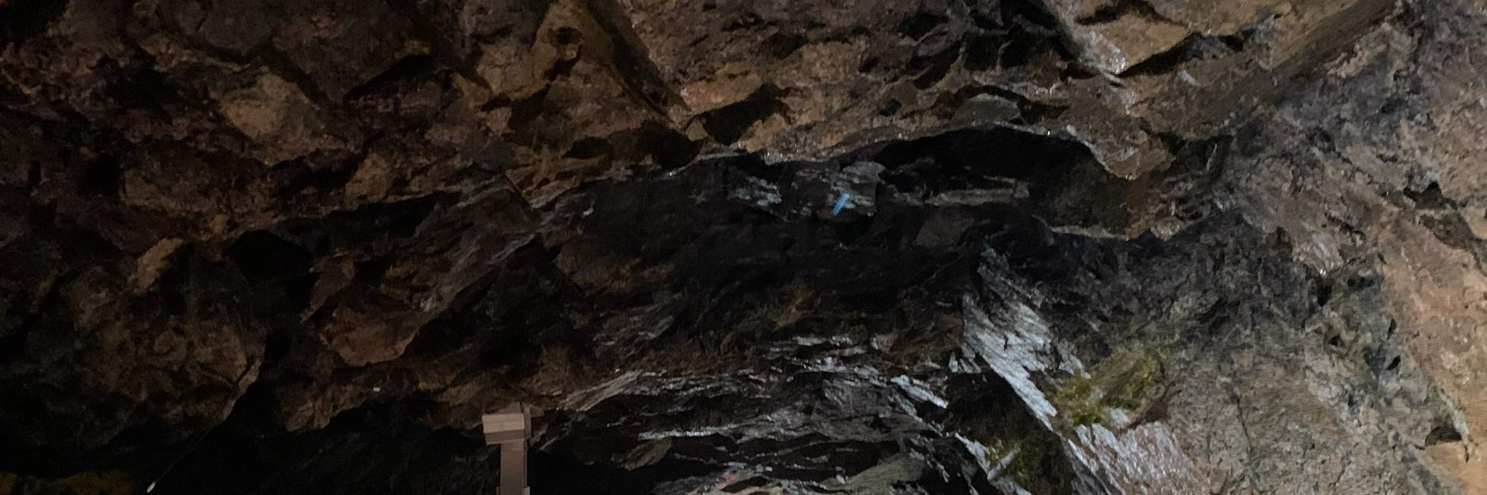 [Klook] Best DMZ Half Day from Seoul Guided Tour - No Shopping - Klook ...