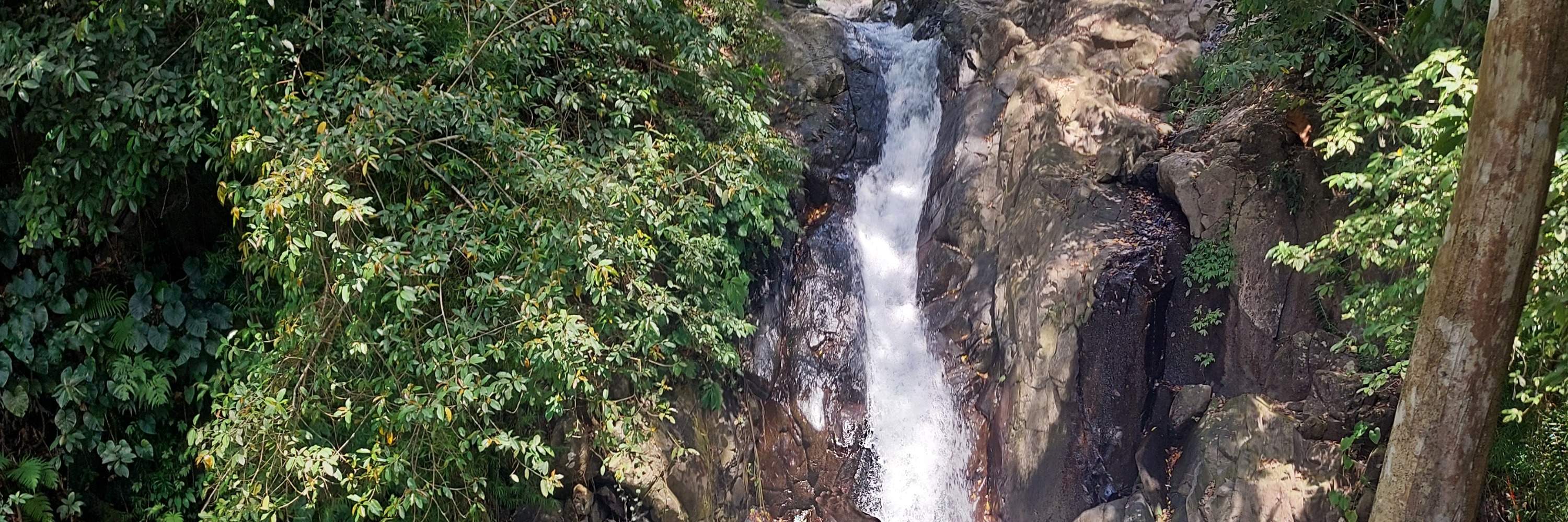 Sambangan Waterfalls with Wanagiri Swing Day Trip, Bali, Indonesia ...