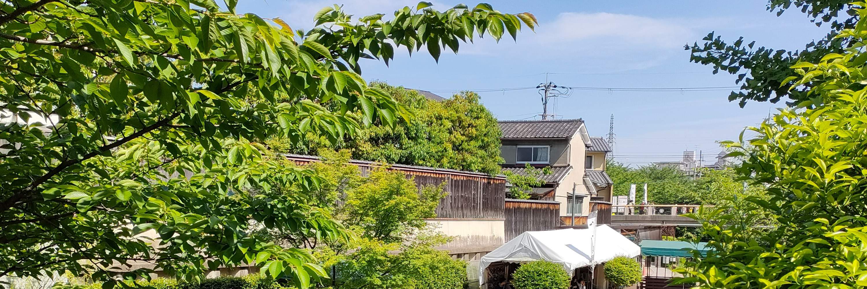 Reservation for a 3-hour walking tour of sake breweries in Fushimi, one ...