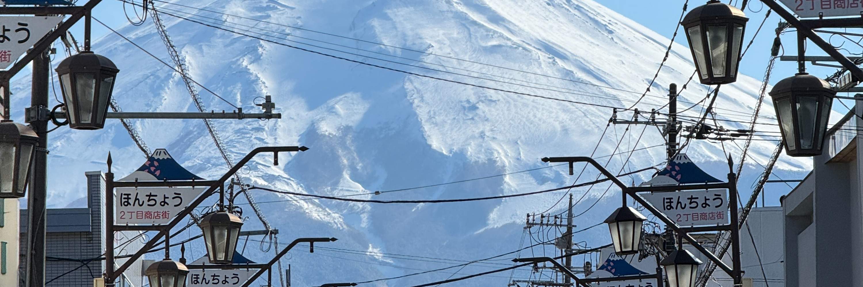 One-day flower viewing tour｜Mount Fuji flower viewing + Lawson ...