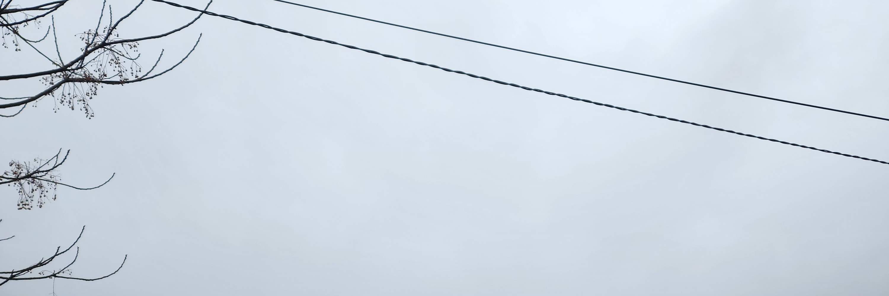 5 Days 5 Nights Ha Giang, Cao Bang with Easy Rider by The Loop Tours - Klook India