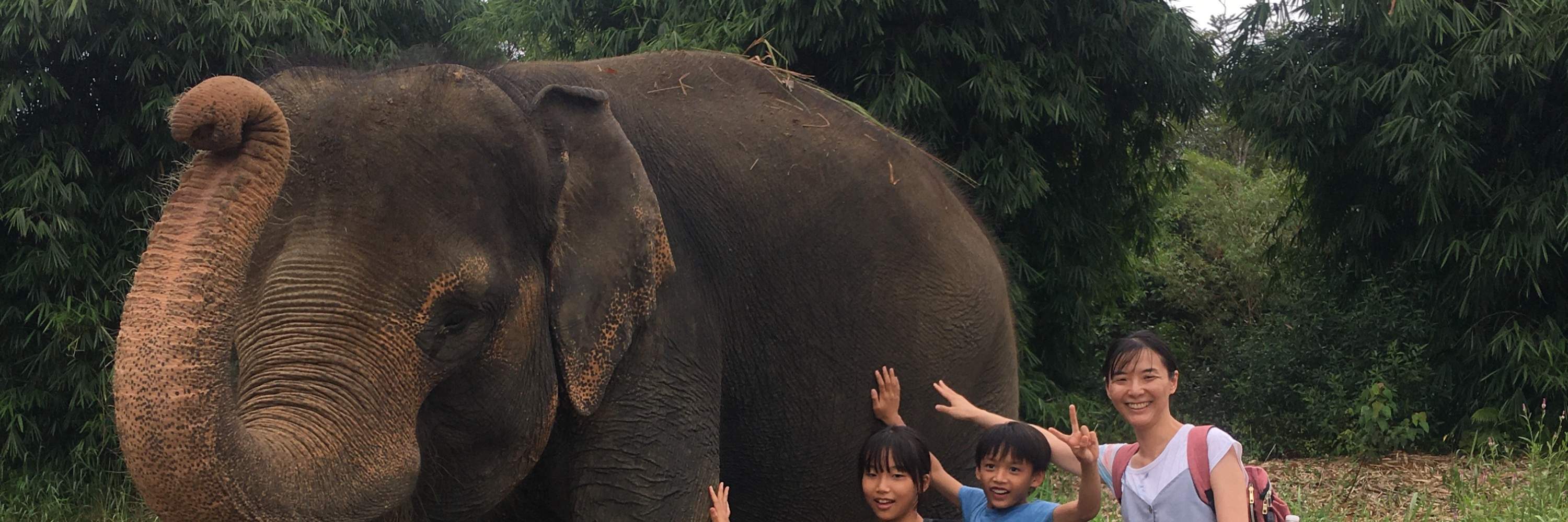 Safari Lagoi & Eco Farm - Bintan Island Tour from Bintan - Klook Singapore