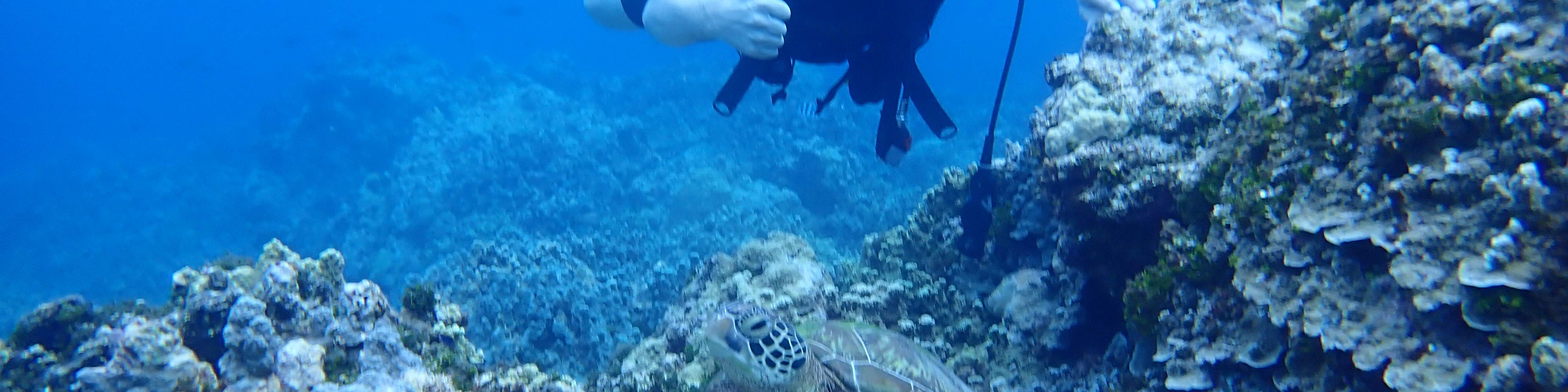 Kayak and Dive from Westin Resort Guam with PADI 5 Star Dive Resort ...