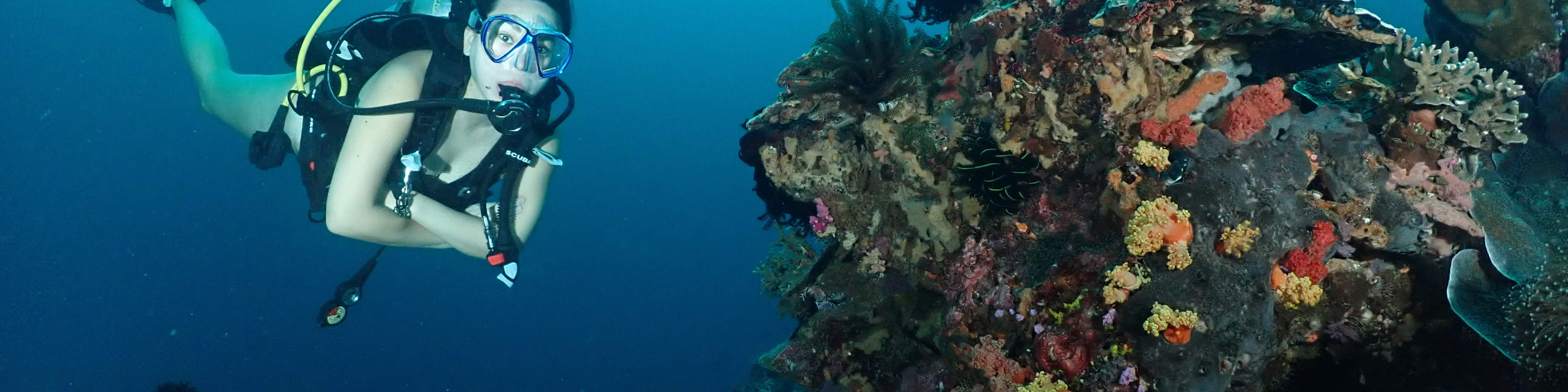 Explore the Underwater World with PADI Discover Scuba Diving in Lombok at Our PADI Resort ...