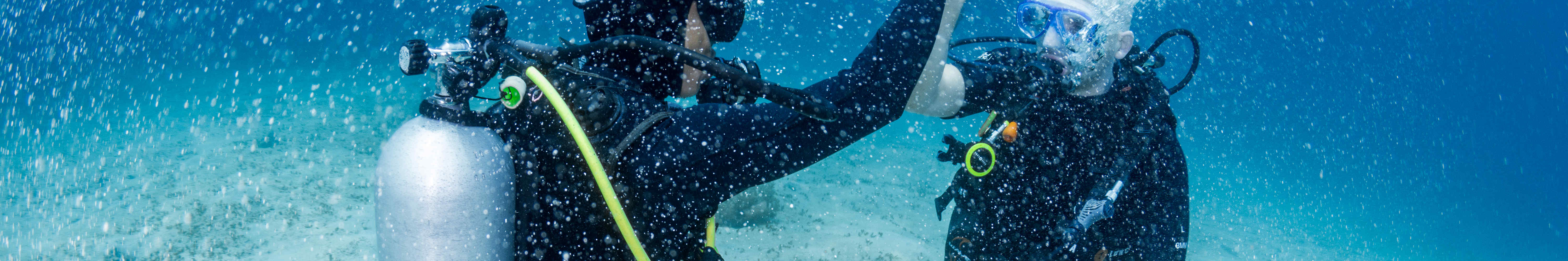 Discover Scuba Diving @ Menjangan Island in Bali with PADI 5 Star Dive ...