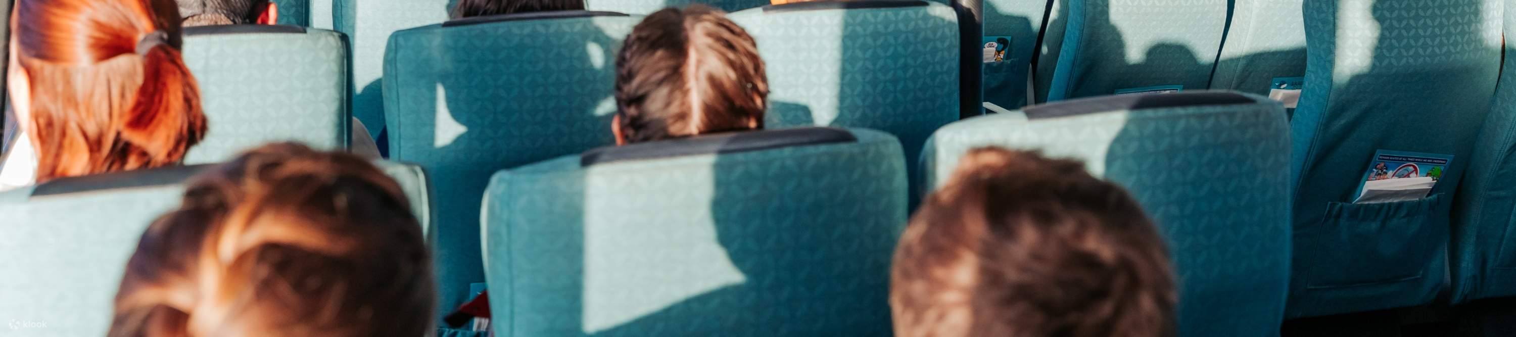 凯库拉赏鲸游船之旅 - Klook客路