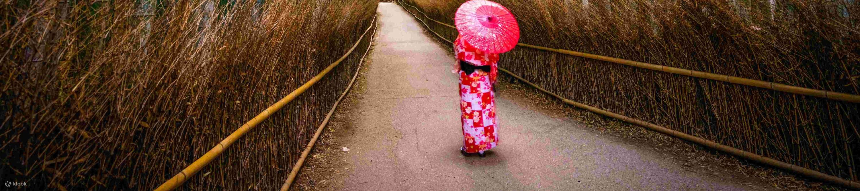 [Tour di un giorno a Kyoto, Nara e al trenino panoramico di Arashiyama ...