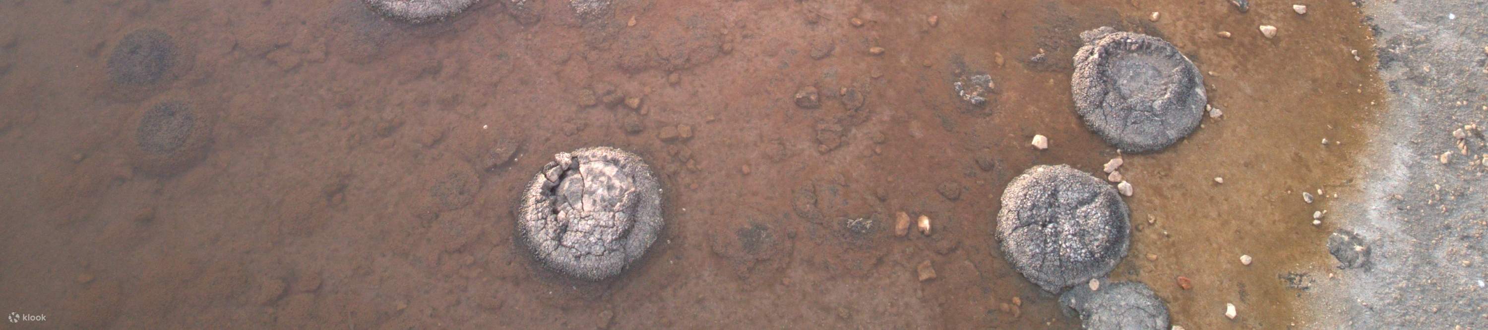 Perth to Pinnacles Self-Guided Driving Tour - Klook Singapore