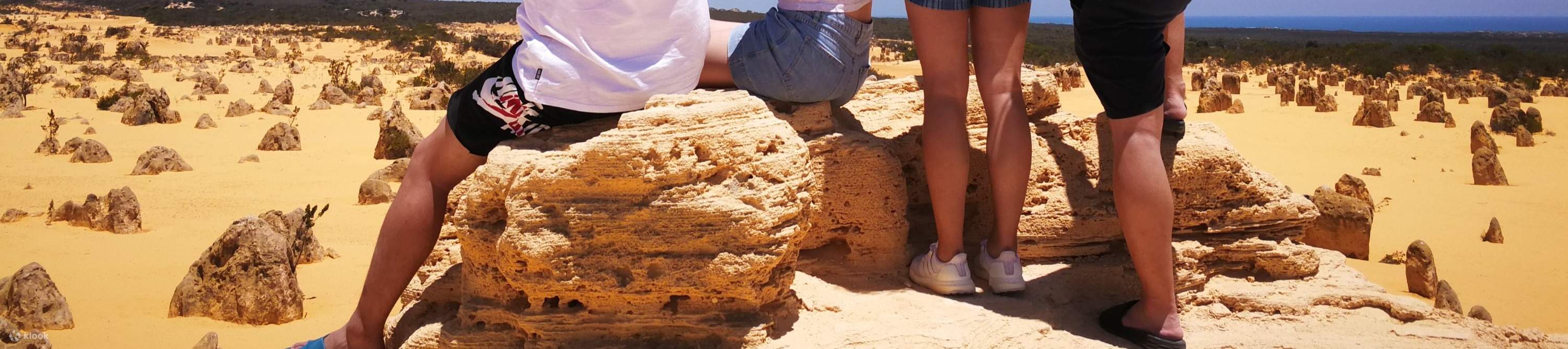 Tour di 3 giorni al Lago Rosa da Perth con guida cinese - Klook Stati Uniti