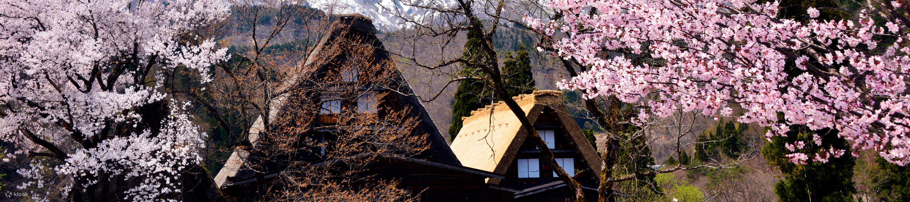 Shirakawa-go One Day Bus Tour with Hida Beef Lunch from Nagoya - Klook ...