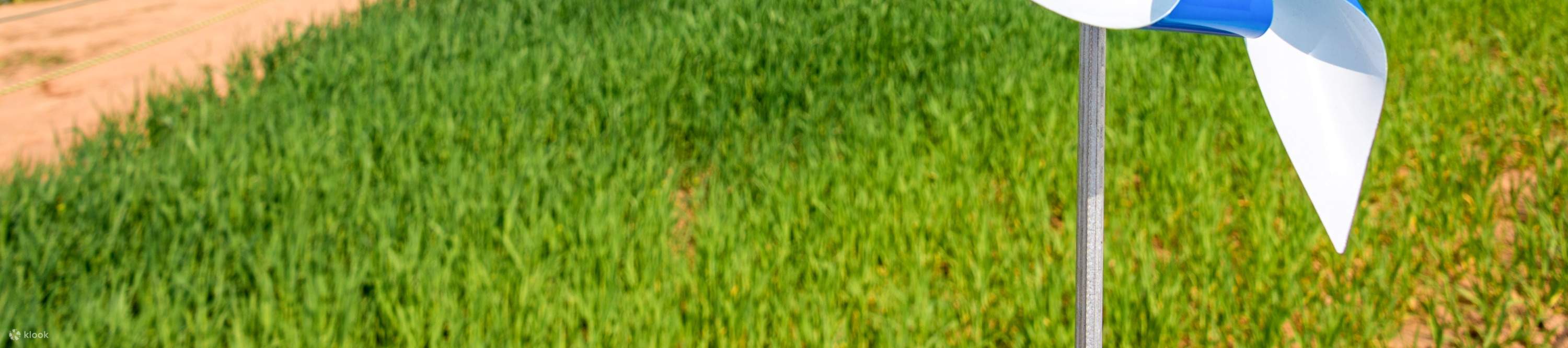 Jeonju & Green Barley Field - Klook Hong Kong