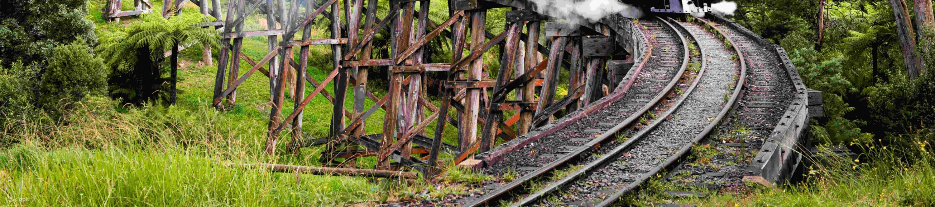 Fruit-Picking and Puffing Billy Steam Train 1-Day Tour - Klook