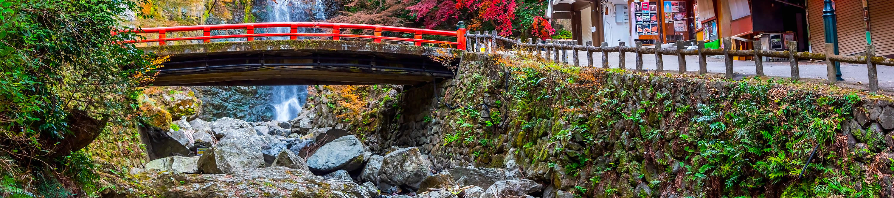 Autumn in Kyoto: Minoh, Sagano Train, Arashiyama & Kinkakuji - Klook ...