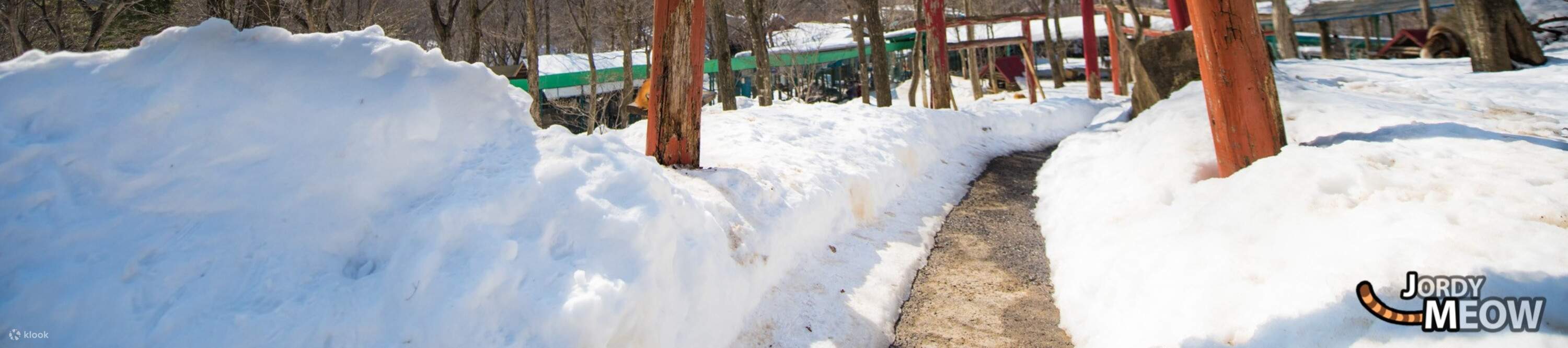 Snowy Zao Fox Village & Zao Onsen Day Tour from Sendai - Klook United ...