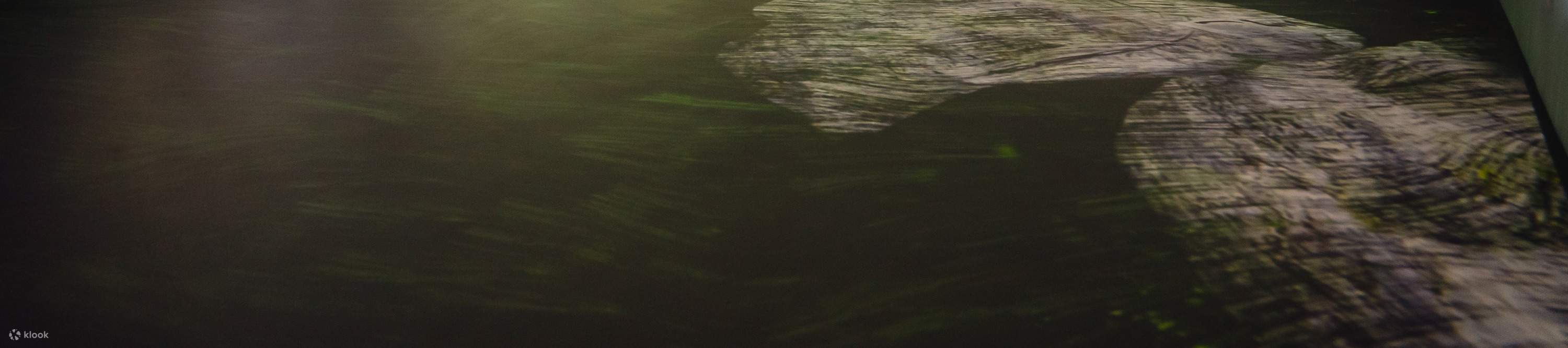 Songlab Digital Art Centre Ticket in Hue - Klook