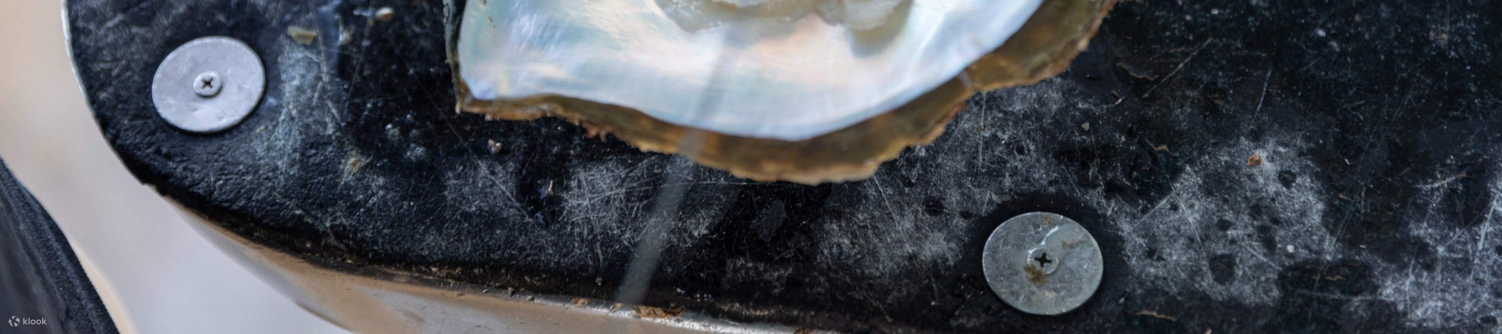 Paspaley Pearl Farm Tour - Klook Hong Kong