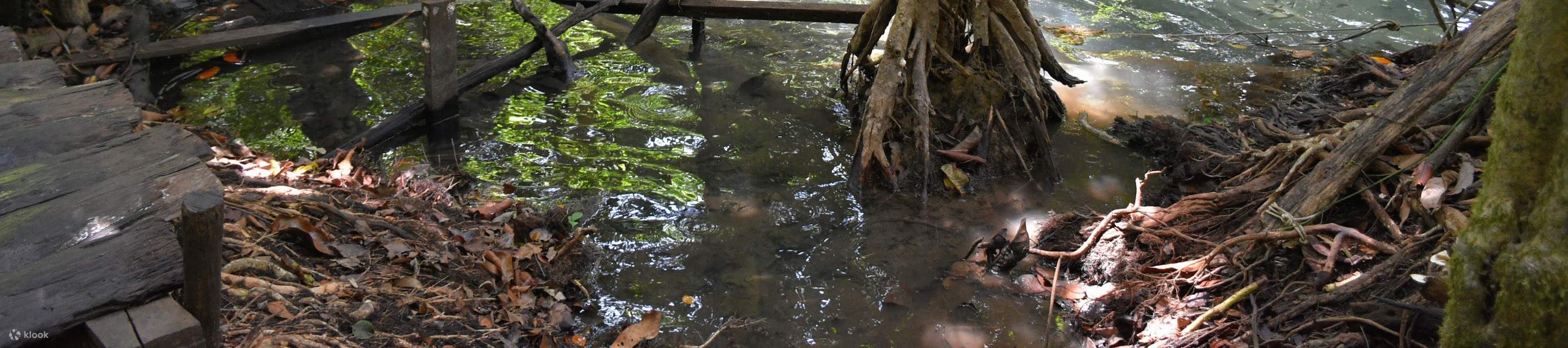 Join In Half-day Trip To Blue Lagoon At Klong Sra Kaew With Kayaking ...