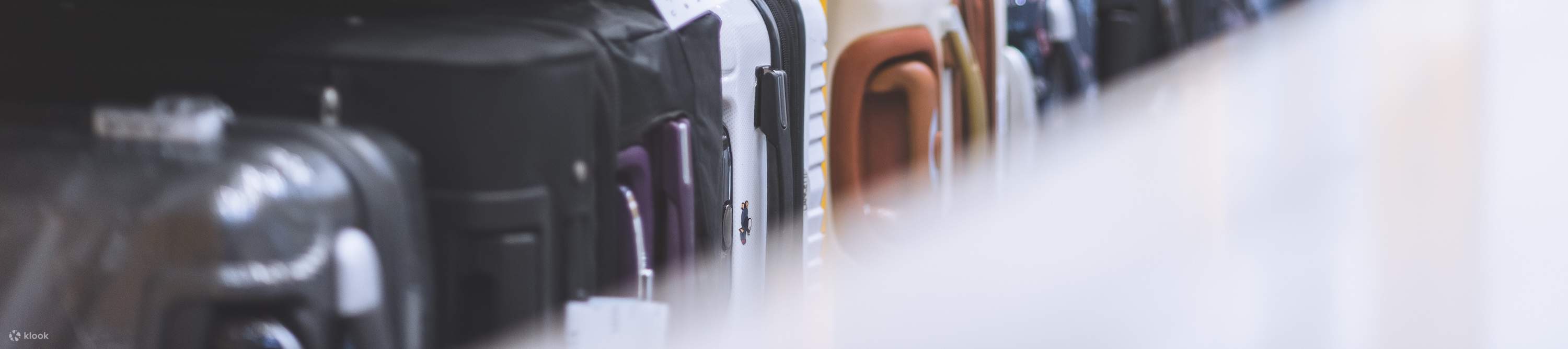 Daegu Luggage Delivery Service: From/To Dongdaegu KTX Station, Daegu International Airport, and ...