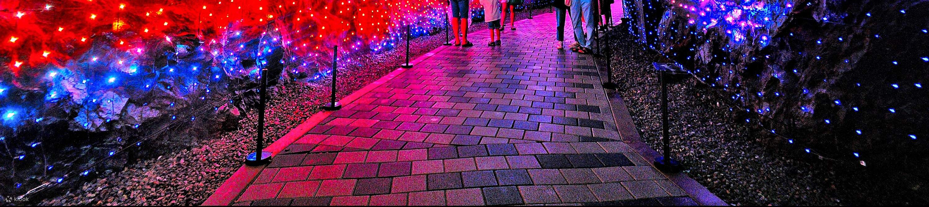 Gyeonggi Korean Nature Tour from Seoul - Klook Hong Kong