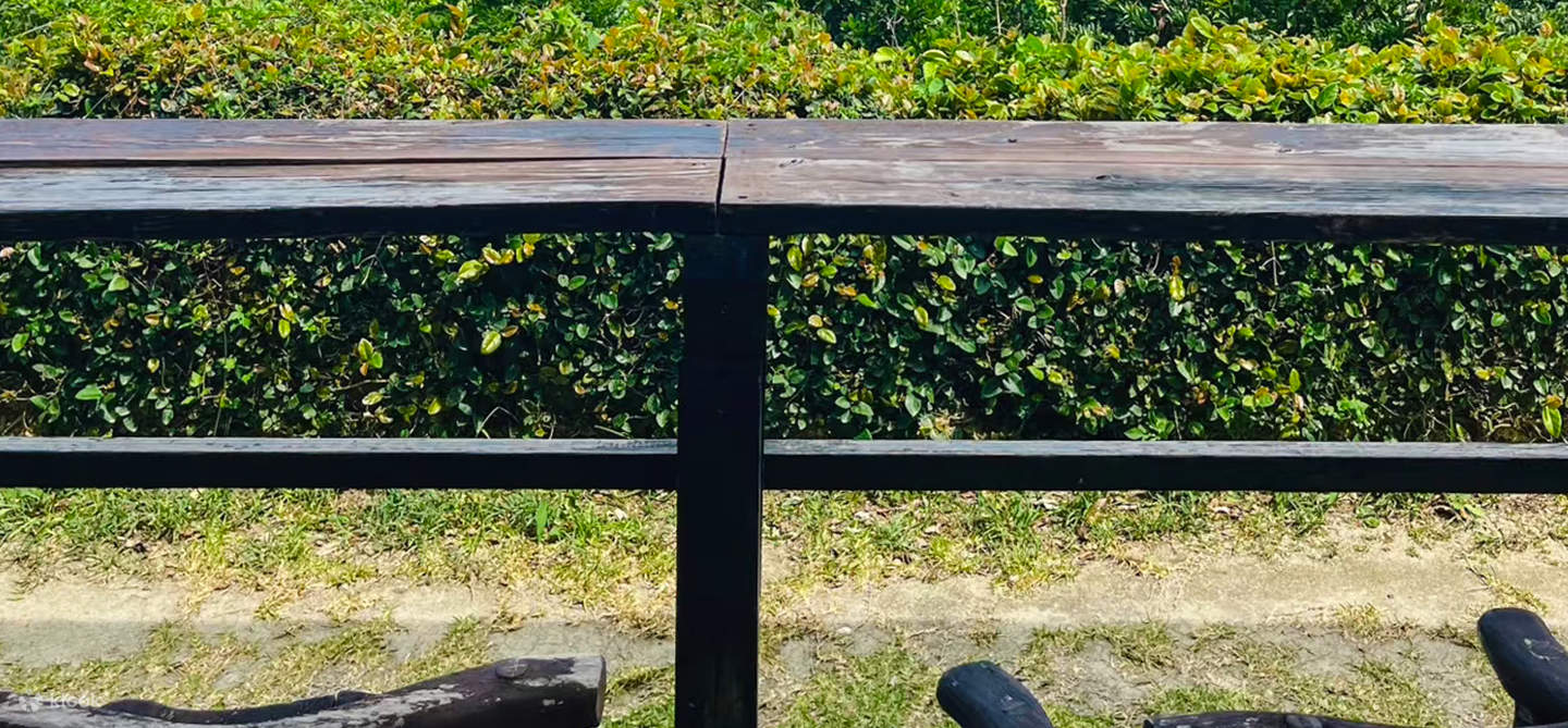 Southern Okinawa Day Tour: Cafe Ukon Flower & Cape Chinen & Okinawa ...