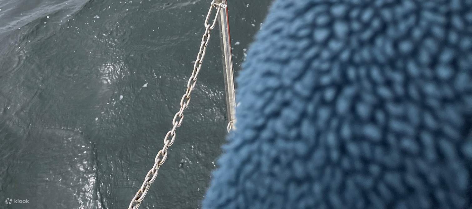 Fjord Sea Safari with Fishing and Crab Pot Hauling from Bergen - Klook ...