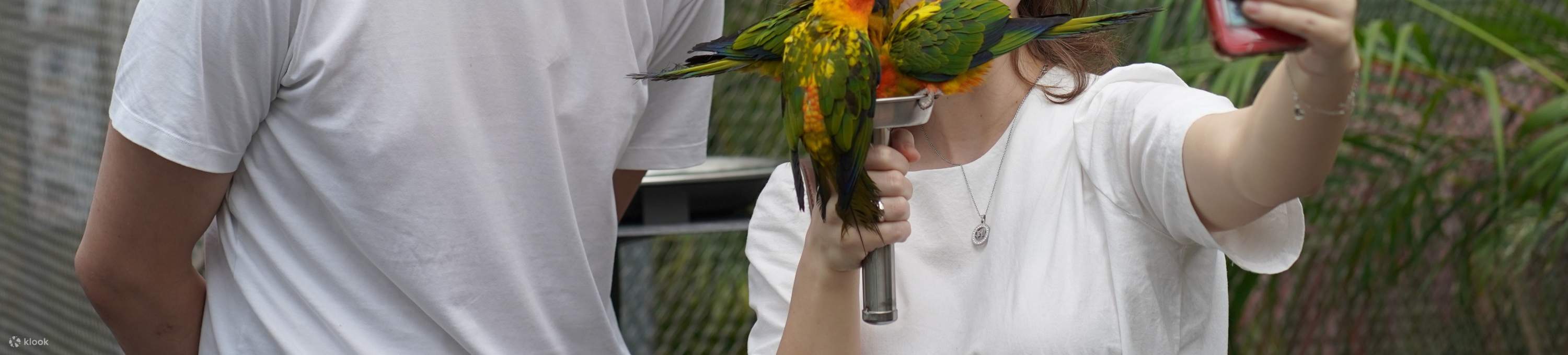 Gyeonggi Begonia Bird Park Ticket - Klook United States