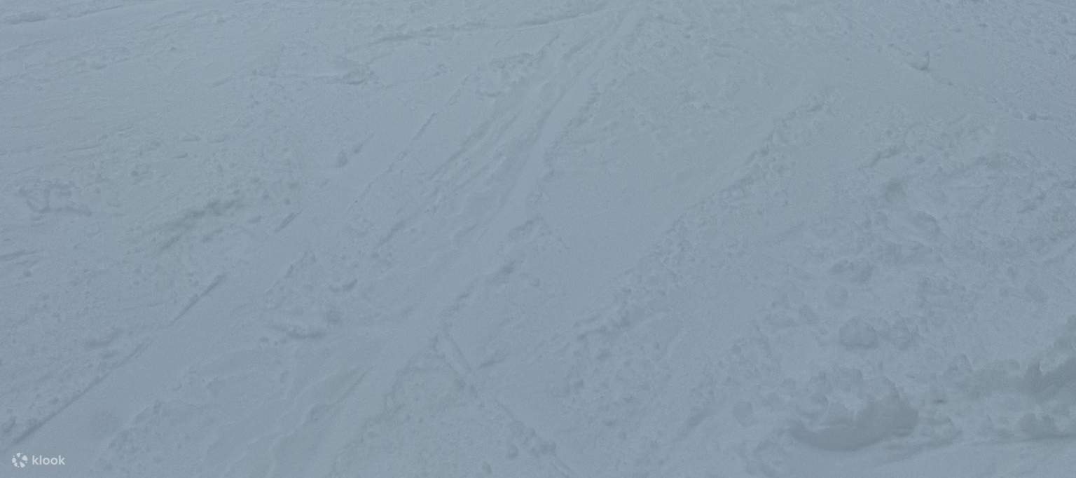 Private Mount Buller Snow & Ski Tour in Melbourne - Klook