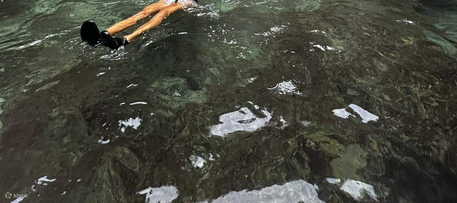 Mag-explore sa El Nido, Palawan sa pamamagitan ng isang Di Malilimutang ...