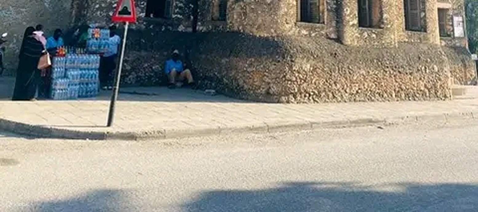 Stone Town's Hidden Historical Guided Walking Tour With A Local ...