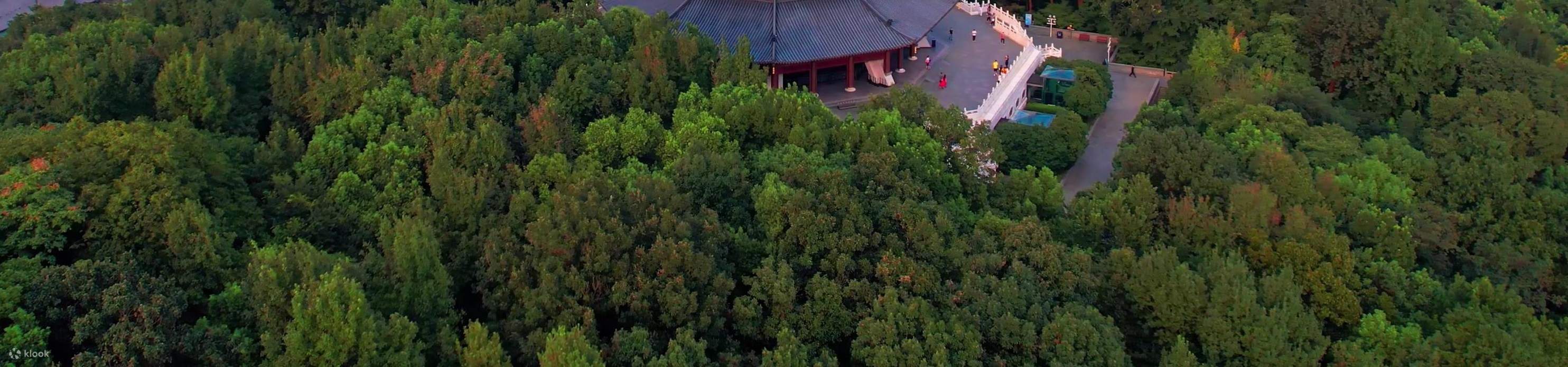 Hangzhou West Lake + West Lake Boat Ride + Lingyin Temple + Tea Brewing ...