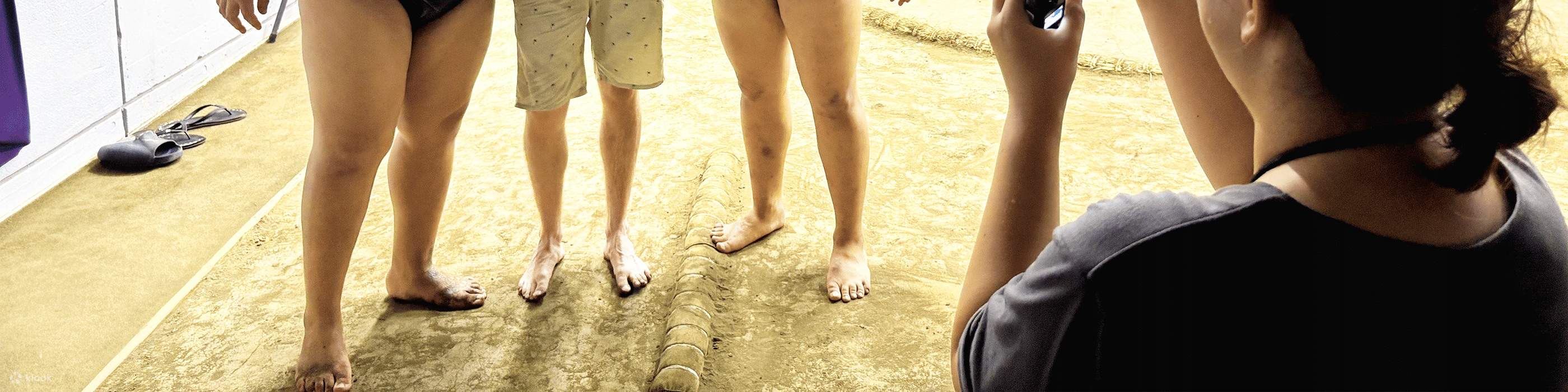 Tokyo Sumo Experience: Morning Practice/ Training with Sumo Wrestler ...