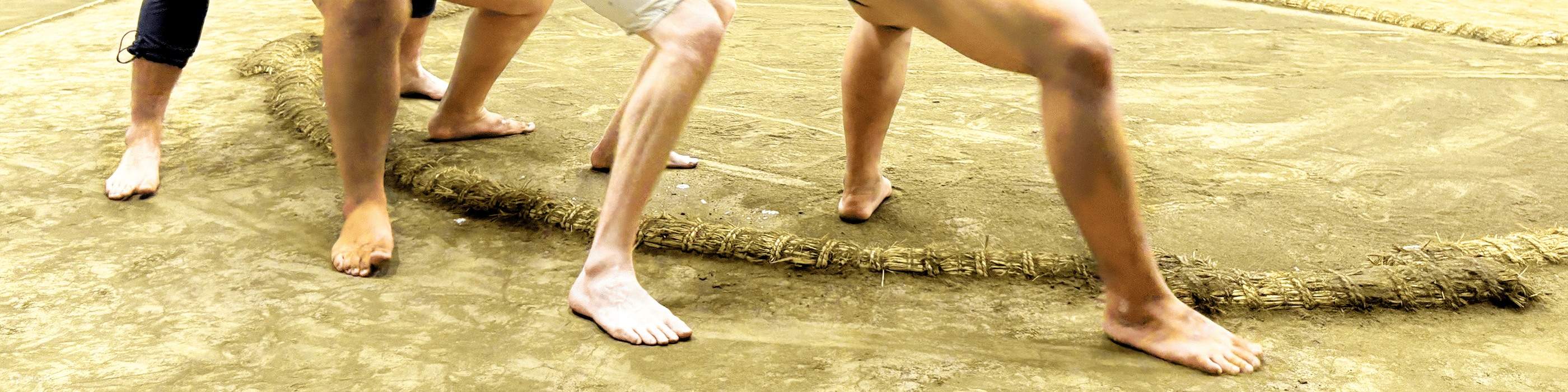 Tokyo Sumo Experience: Morning Practice and Try Sumo Training with Sumo ...